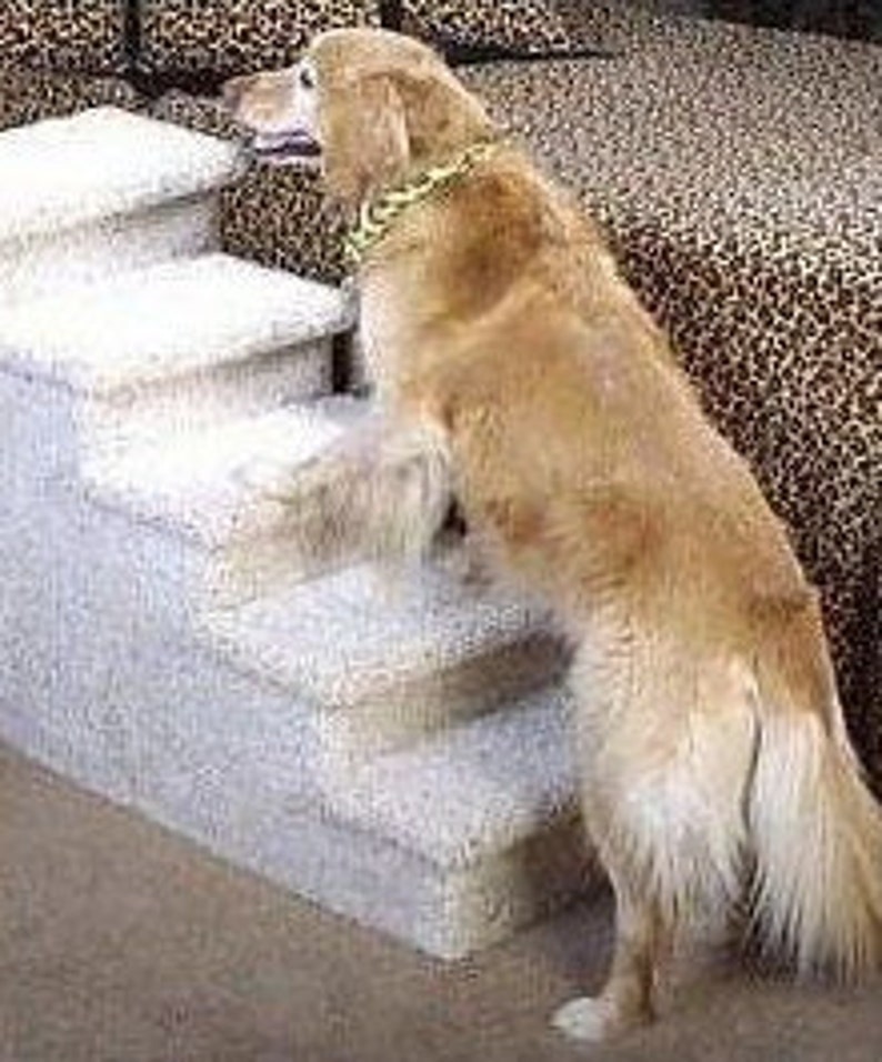 Five Step Pet Step - Etsy