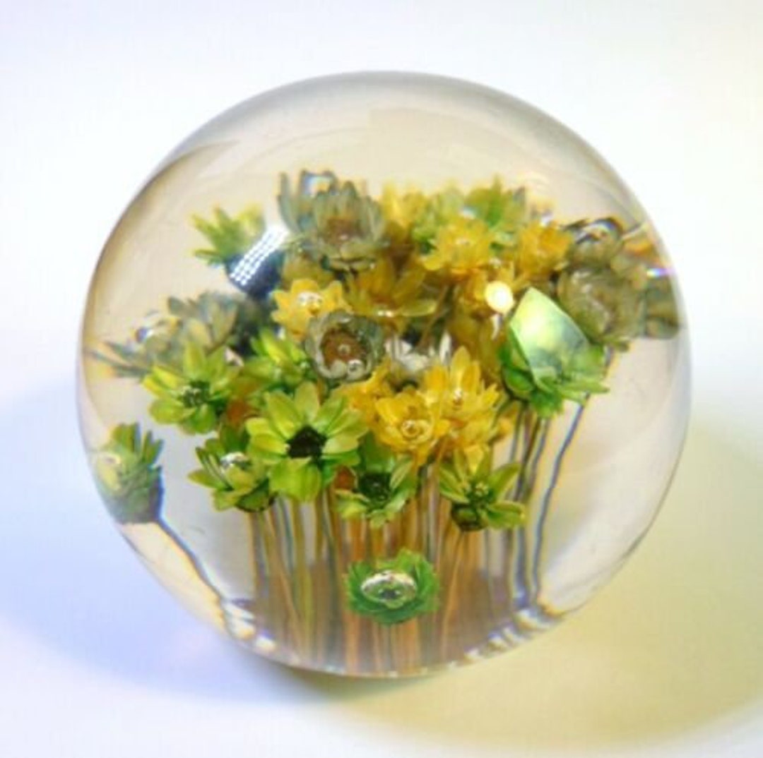 Vintage LUCITE ACRYLIC PAPERWEIGHT With Green & Yellow Strawflowers ...
