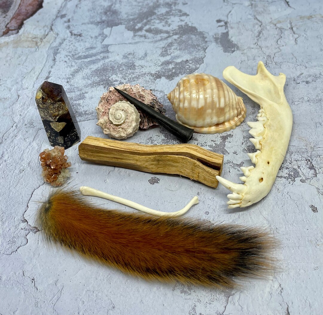 Curio Set ~ Altar Kit ~ Oddities Box - Etsy