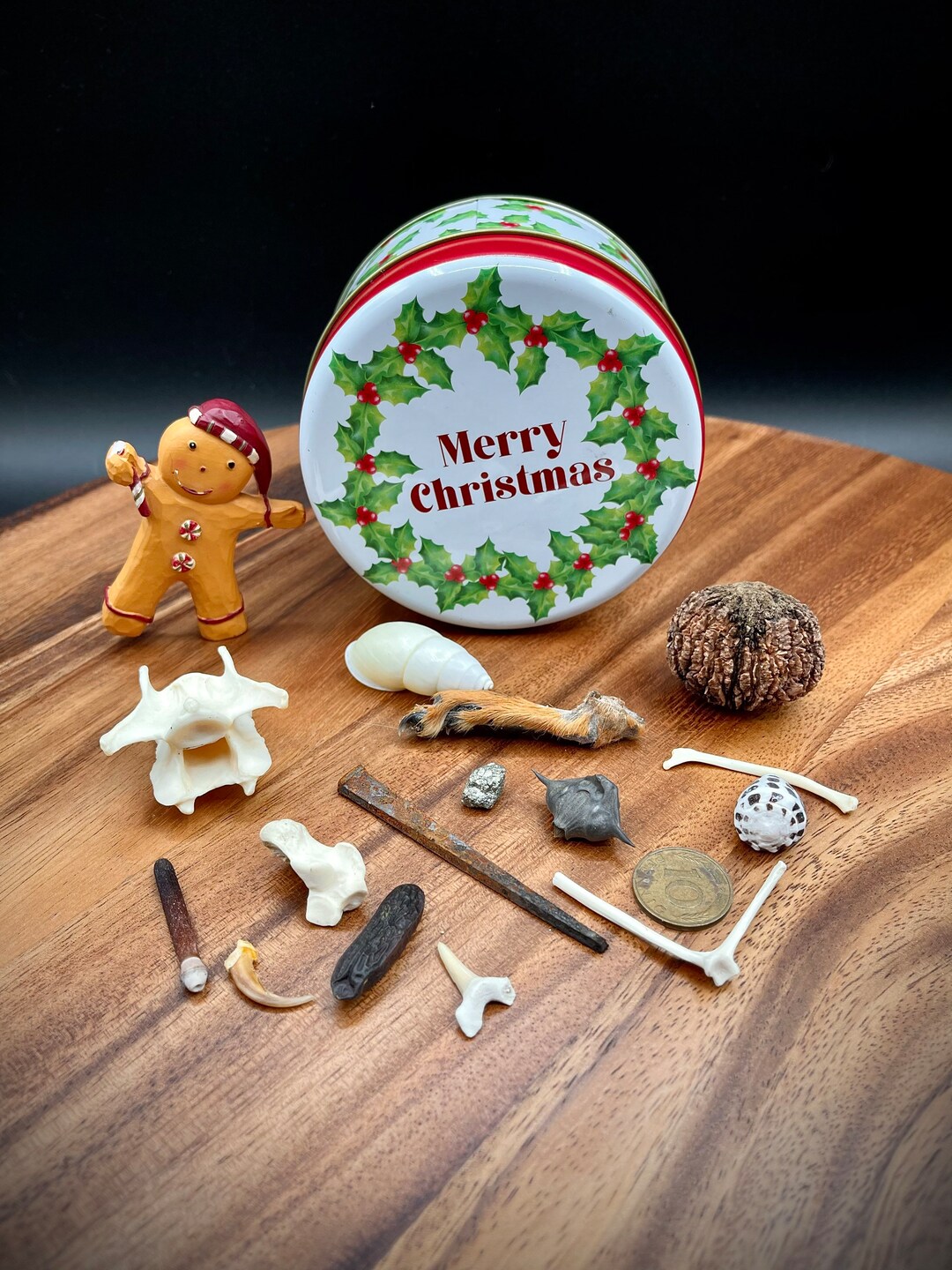 Osteomancy Set Bone Throwing Set Christmas Tin - Etsy