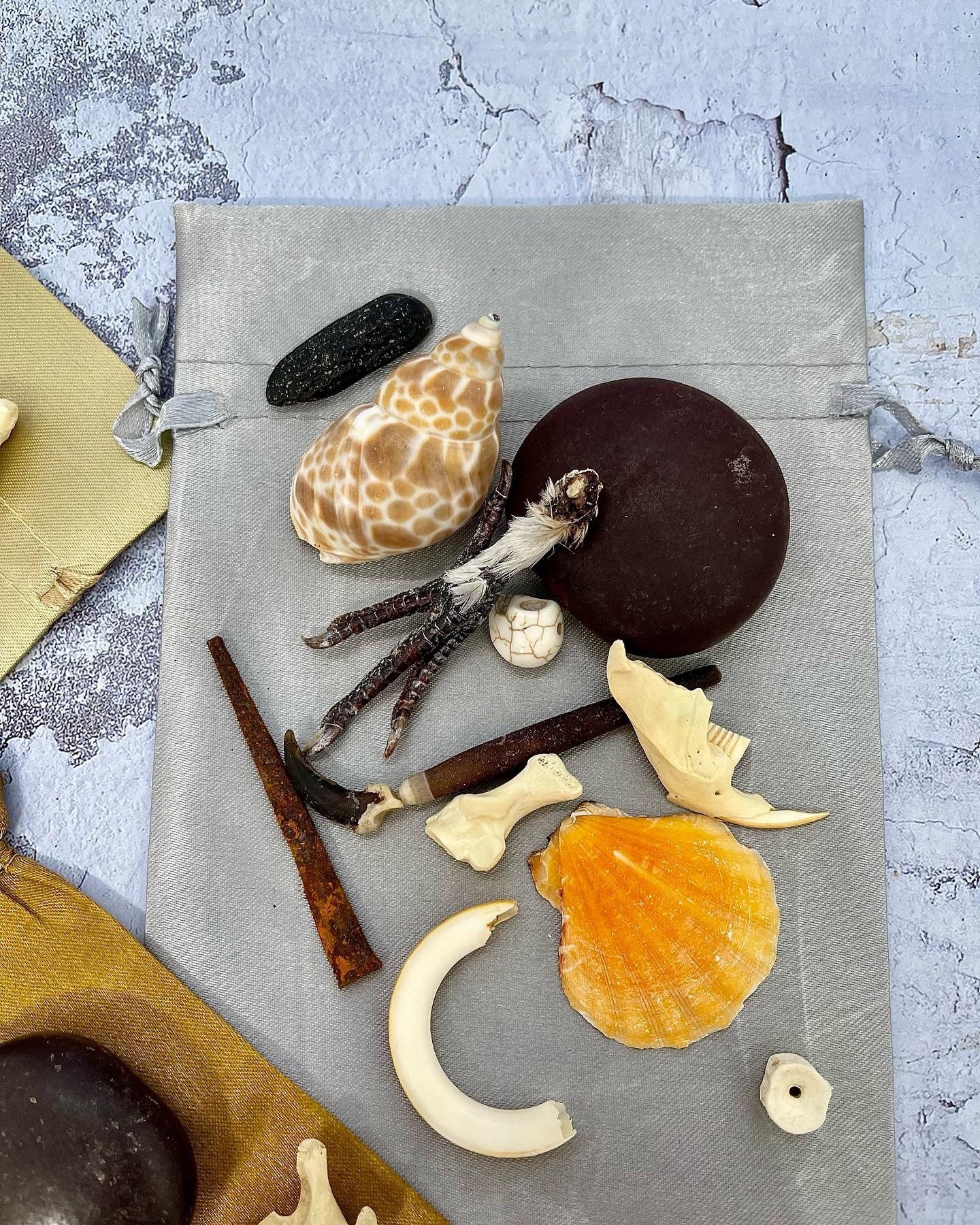 Osteomancy Set Bone Throwing - Etsy