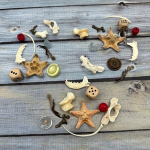 The Seer Osteomancy Bone Throwing Set - Etsy