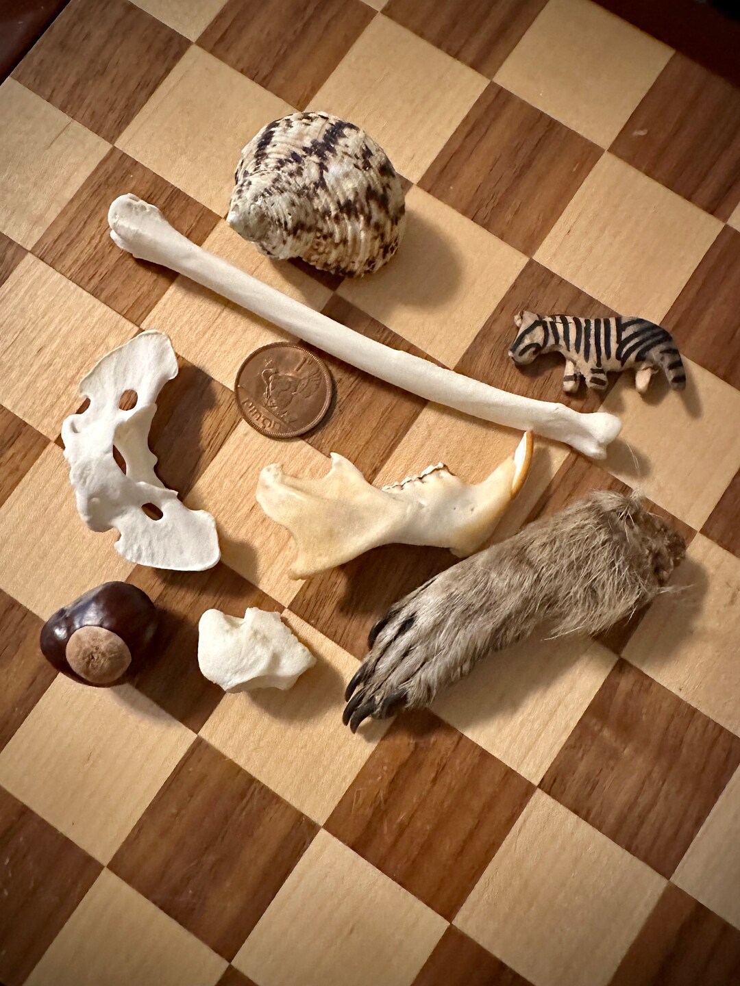 Alchemy Bone Throwing Set - Etsy