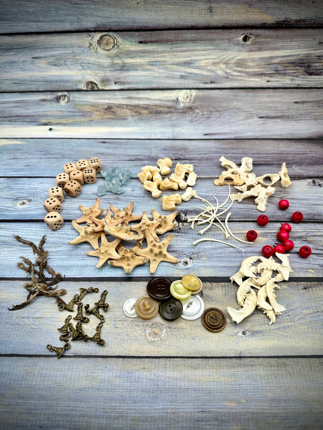 The Seer Osteomancy Bone Throwing Set - Etsy