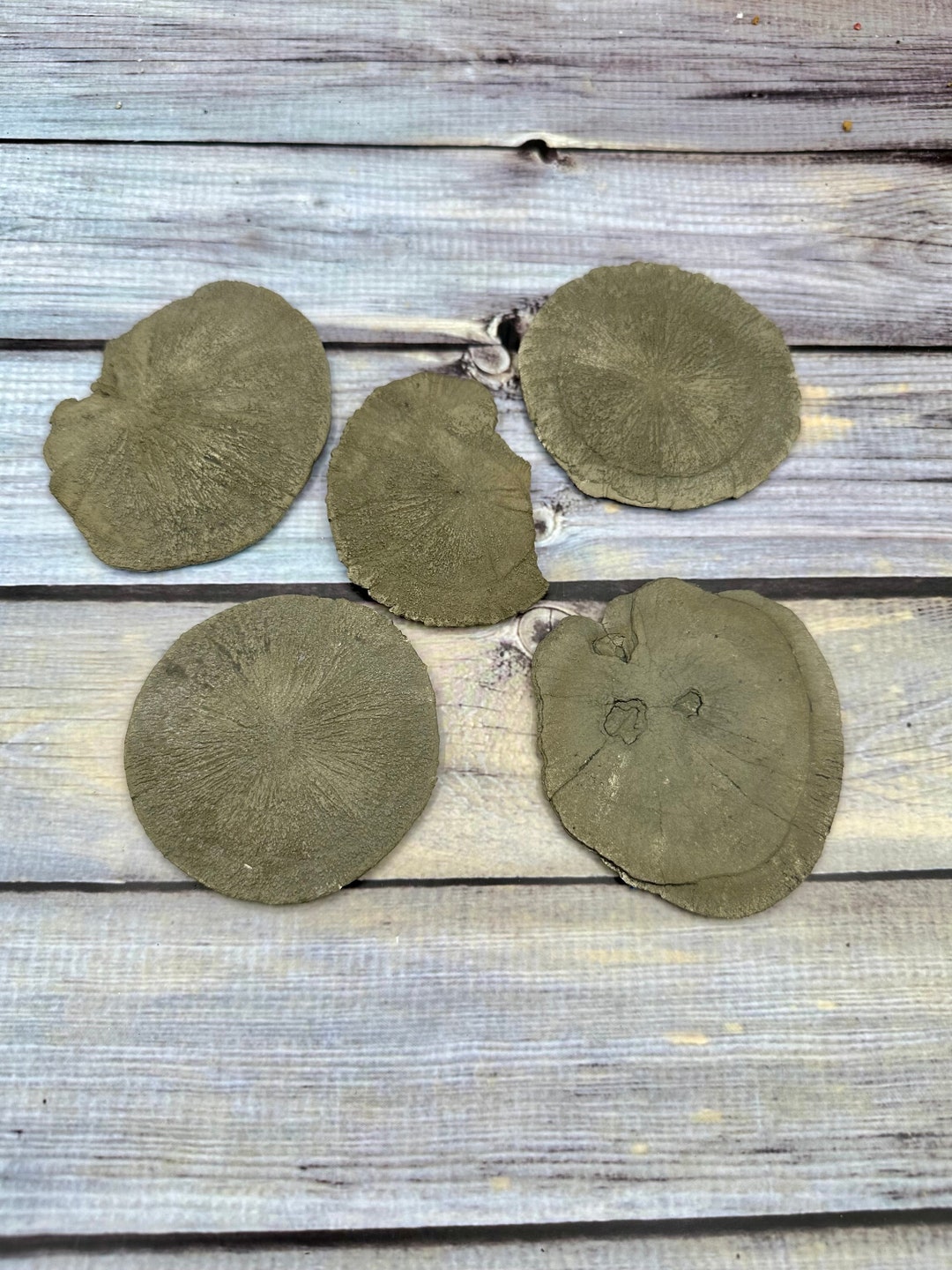 Pyrite Sun - One - Etsy