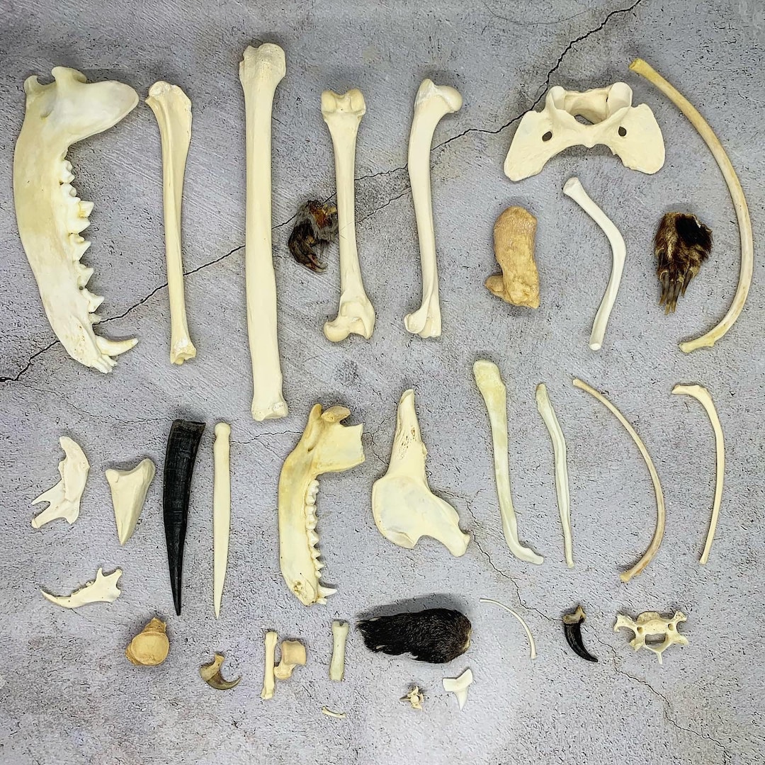 Custom Bone Throwing Sets ~ Create Your Own ~DO NOT ORDER, Read ...