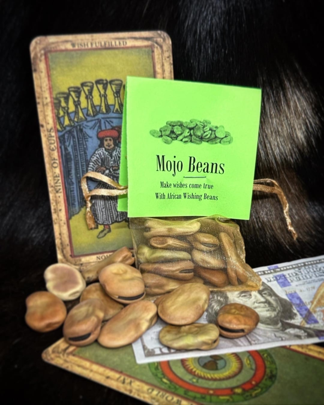 Mojo Beans African Wishing Beans - Etsy