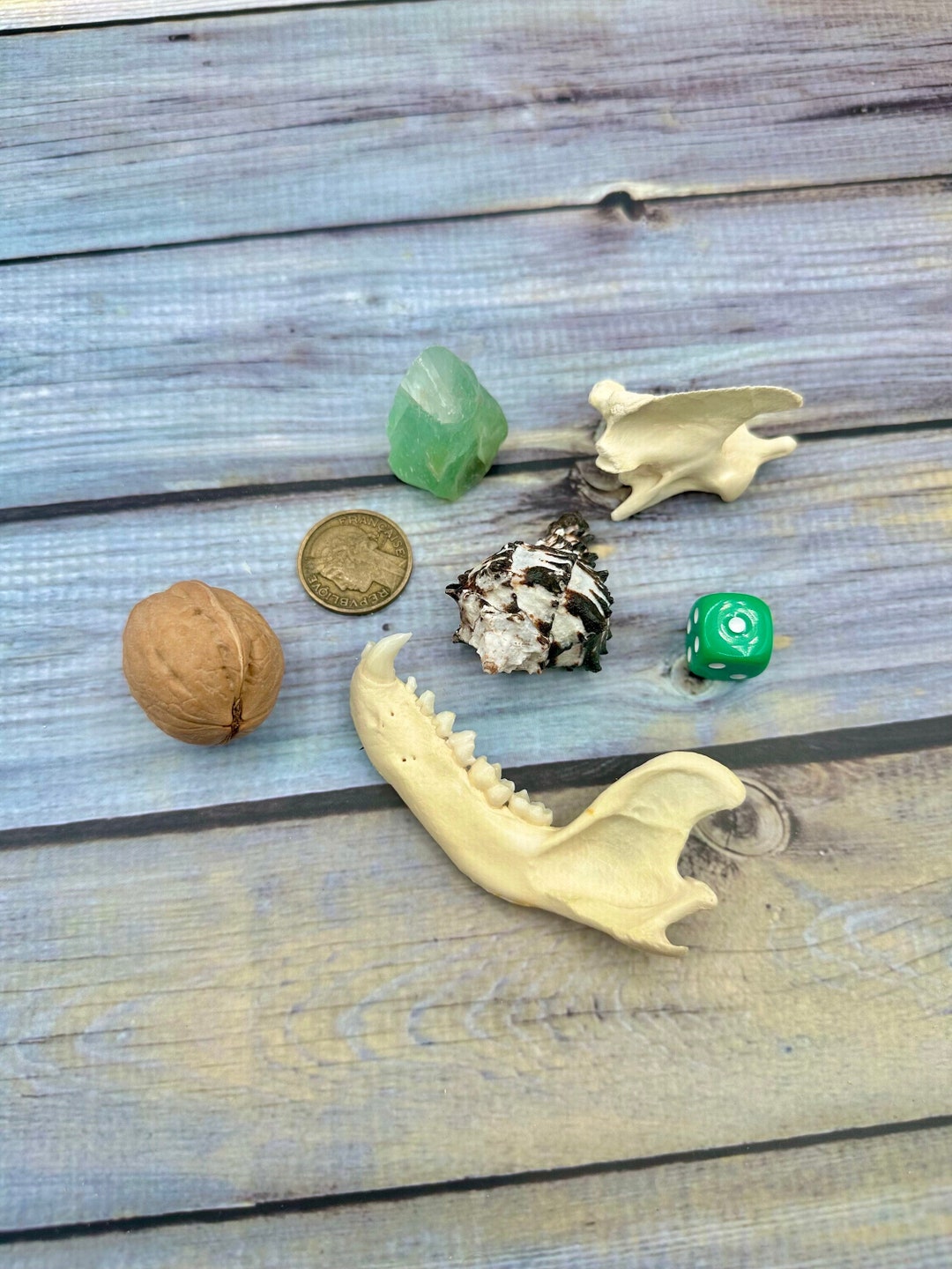 The Phantom Osteomancy Bone Throwing Set - Etsy