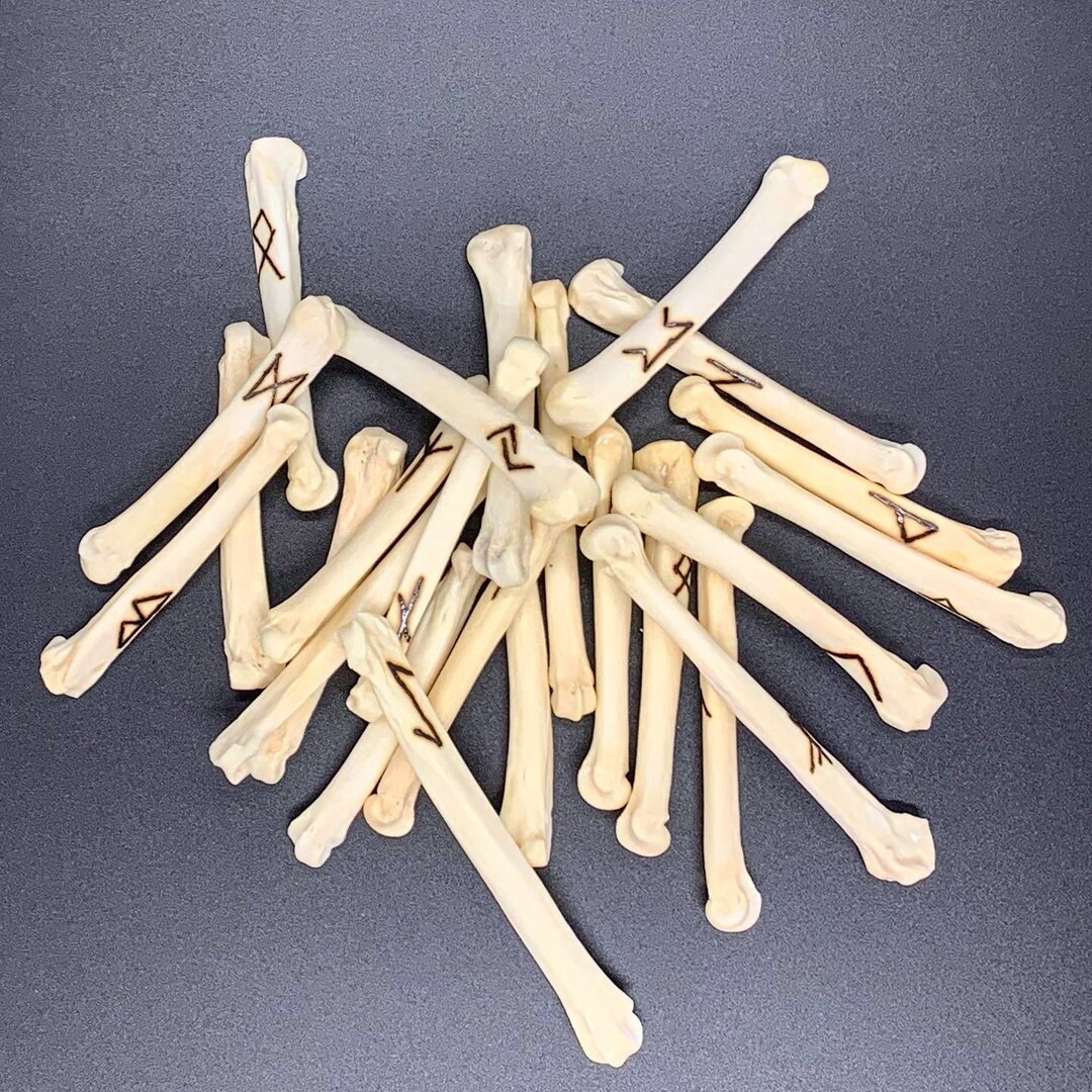 Bone Runes Handmade Coyote Bone Rune Set Elder Futhark - Etsy