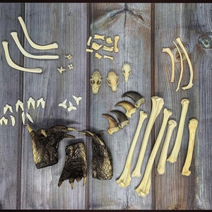 Custom Bone Throwing Sets ~ Create Your Own ~DO NOT ORDER, Read ...