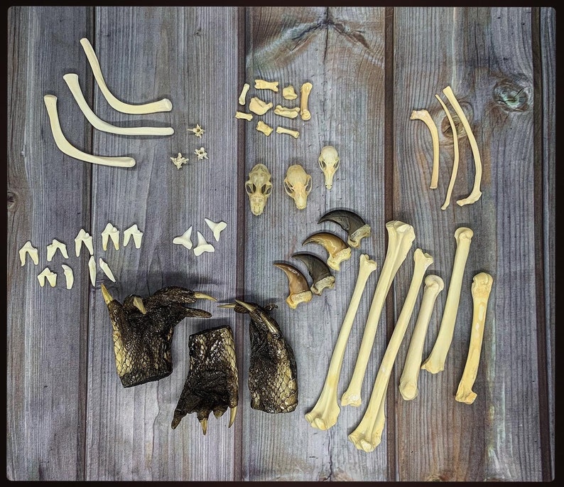 Custom Bone Throwing Sets Create Your Own READ DESCRIPTION - Etsy