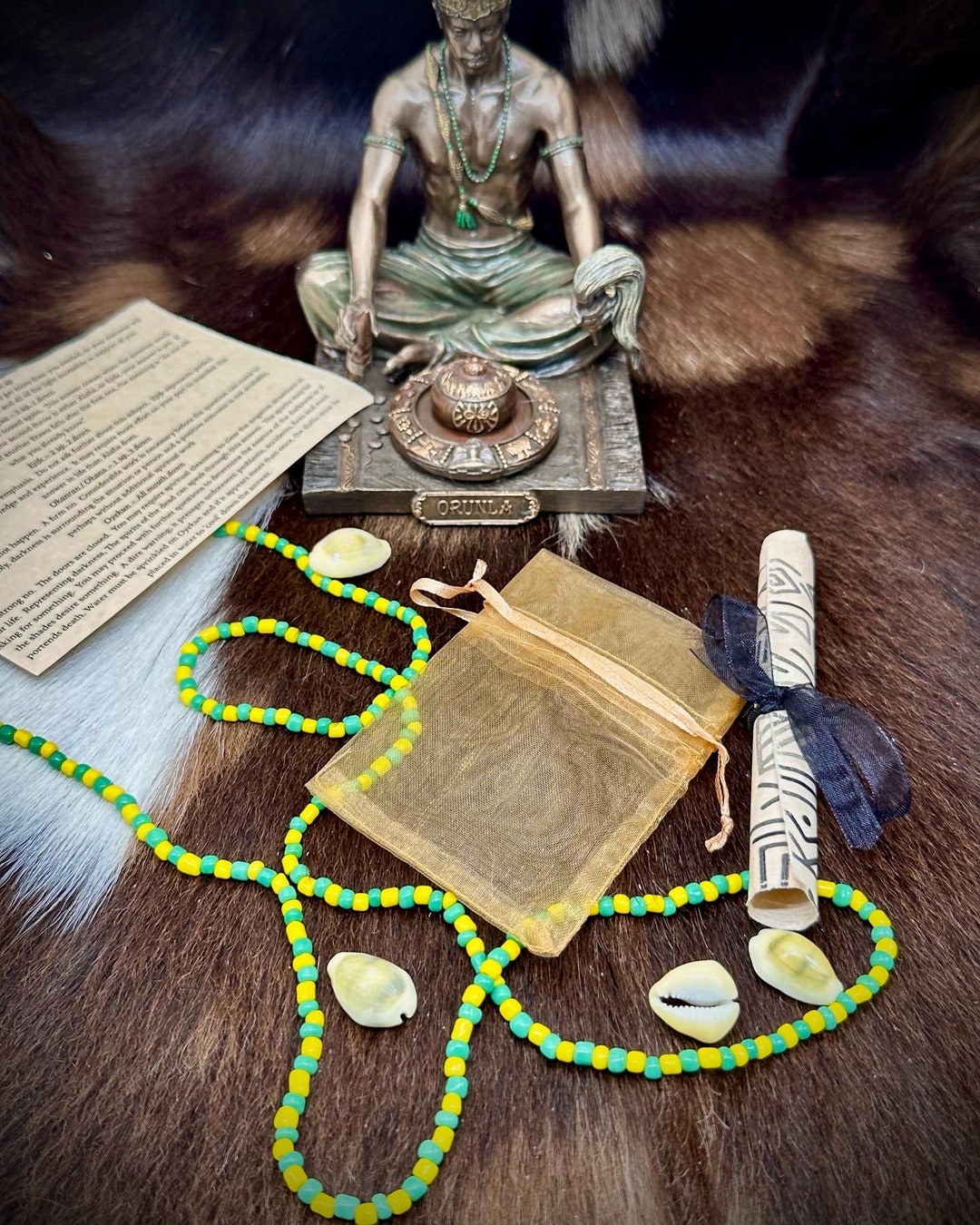 4 Shell Cowrie Divination Obi Cowry Divination Casting - Etsy