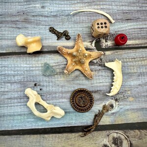 The Seer Osteomancy Bone Throwing Set - Etsy