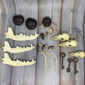 Custom Bone Throwing Sets ~ Create Your Own ~DO NOT ORDER, Read ...