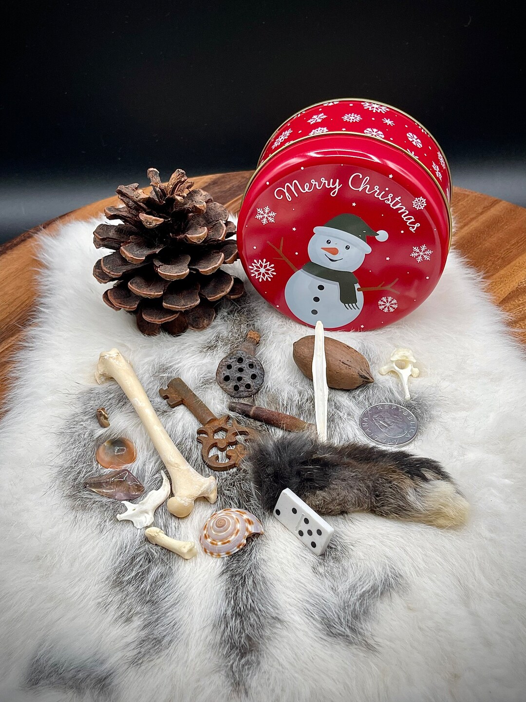 Osteomancy Set Bone Throwing Set Christmas Tin - Etsy