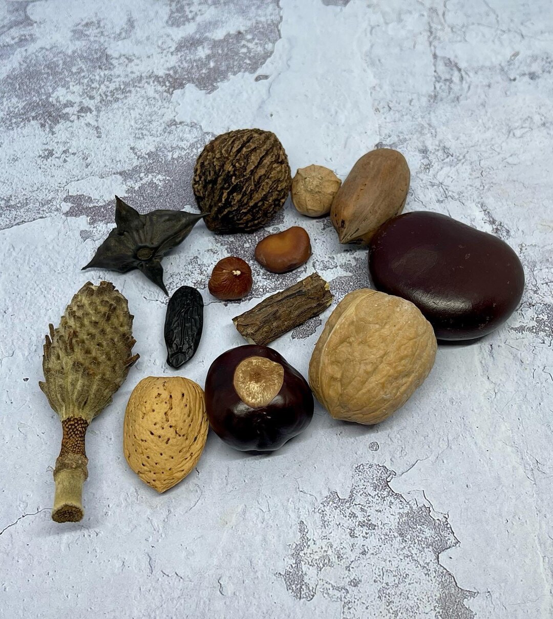 No Bones Throwing Set ~ Vegan Osteomancy Set ~ Eco Friendly Divination ...