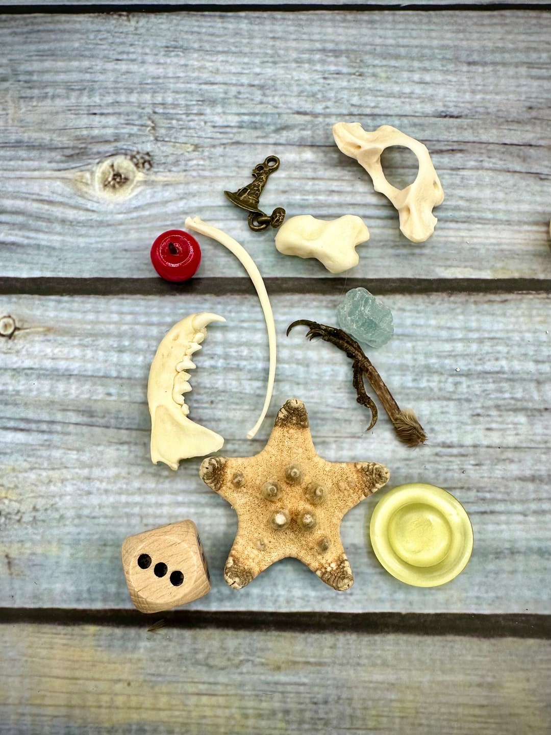 The Seer Osteomancy Bone Throwing Set - Etsy