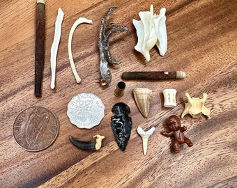 Bone Casting Set with Guide - Etsy