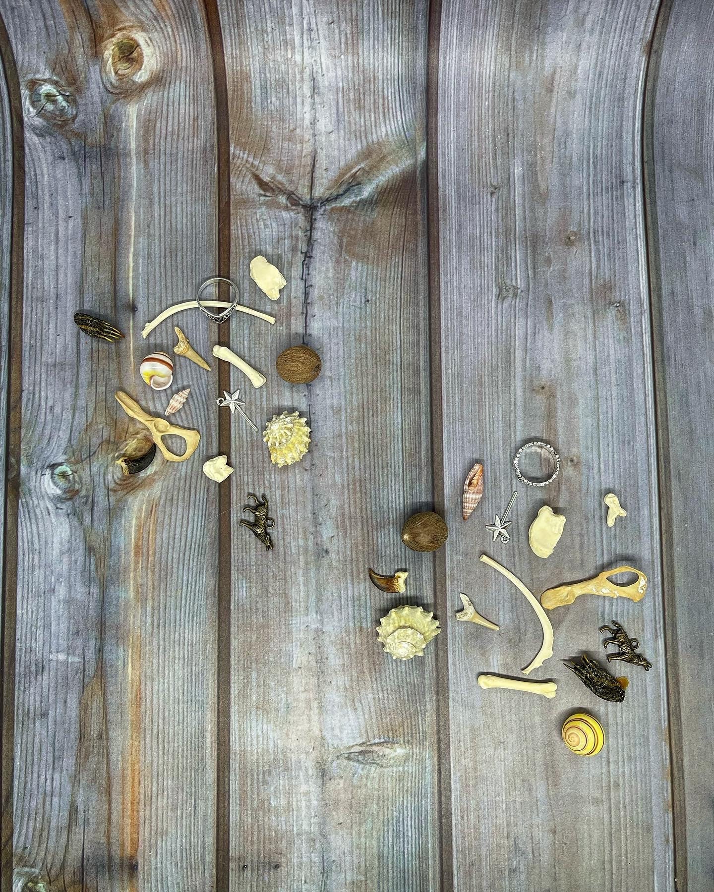 Channeler Osteomancy Set | Etsy