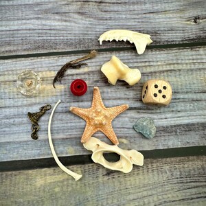 The Seer Osteomancy Bone Throwing Set - Etsy