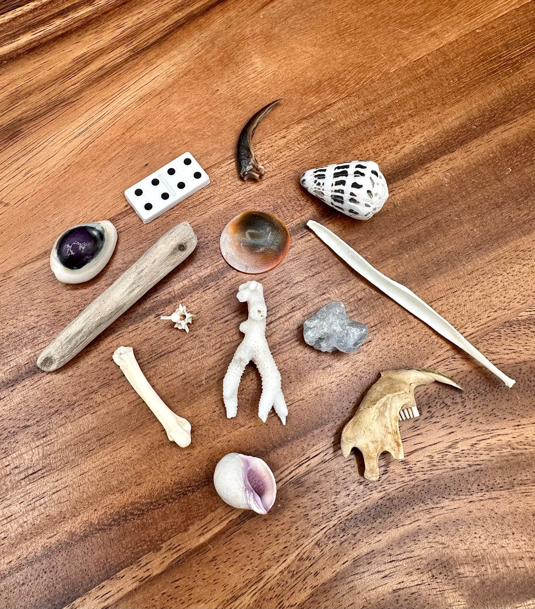 Gaia Bone Throwing Set - Etsy