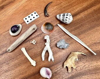 Bone Casting Kit for Hoodoo Ritual Witchcraft Throwing Bones Gift Set - Etsy