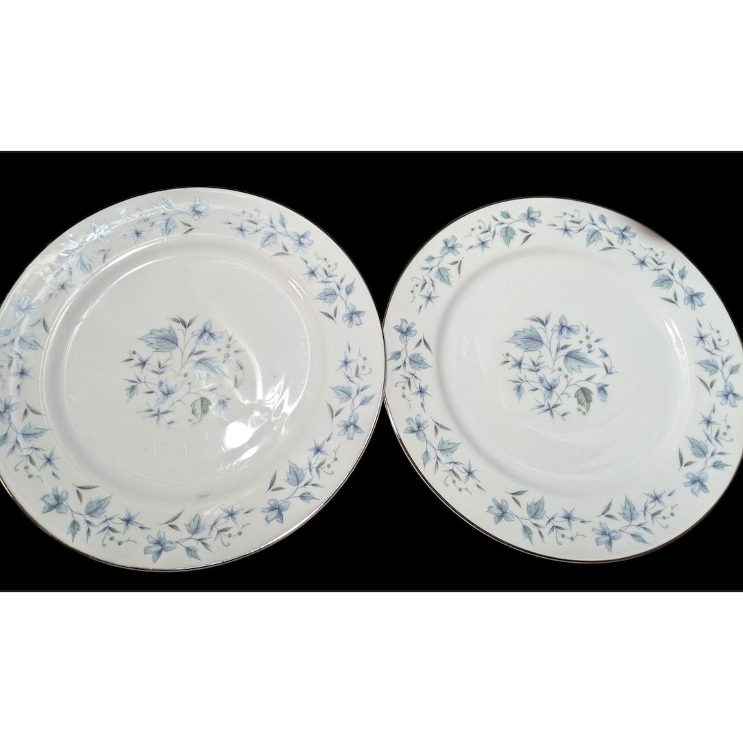 Bluefield Nasco White With Blue Floral Fine China Plates Japan (2) - Etsy