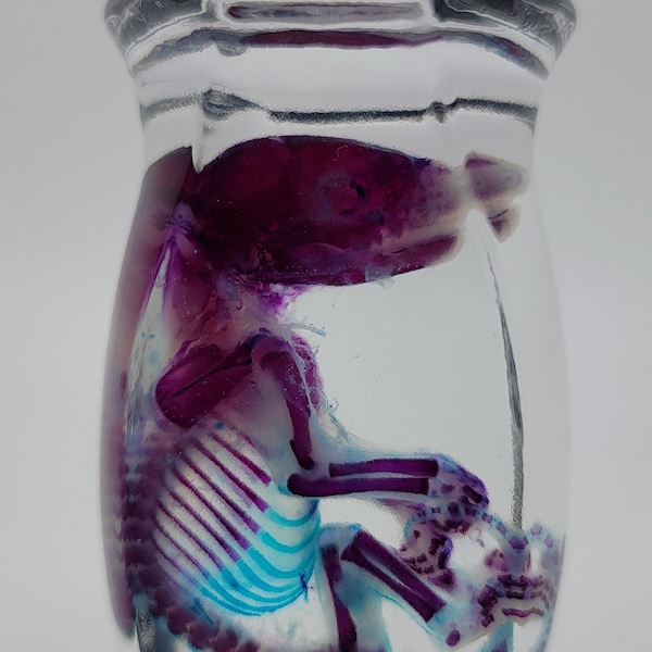 Diaphonization - Etsy