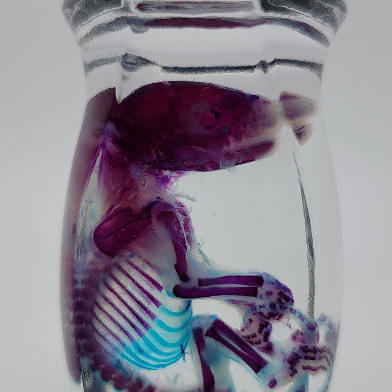 Diaphonization - Etsy