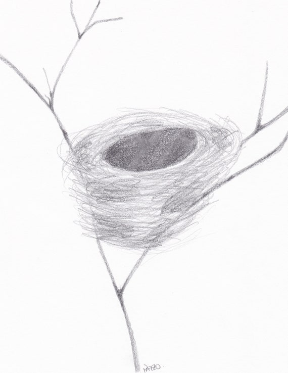 Print Empty Nest Pencil drawing | Etsy