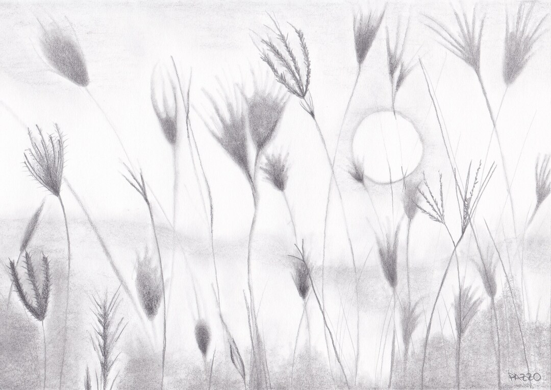 Print - Dawn- Pencil Drawing - Etsy