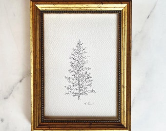 pine tree charcoal drawing