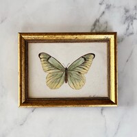 Butterfly - Etsy
