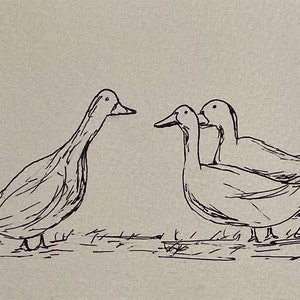 THREES COMPANY Unframed Art Print - Duck Drawing Ink Sketch Print ...