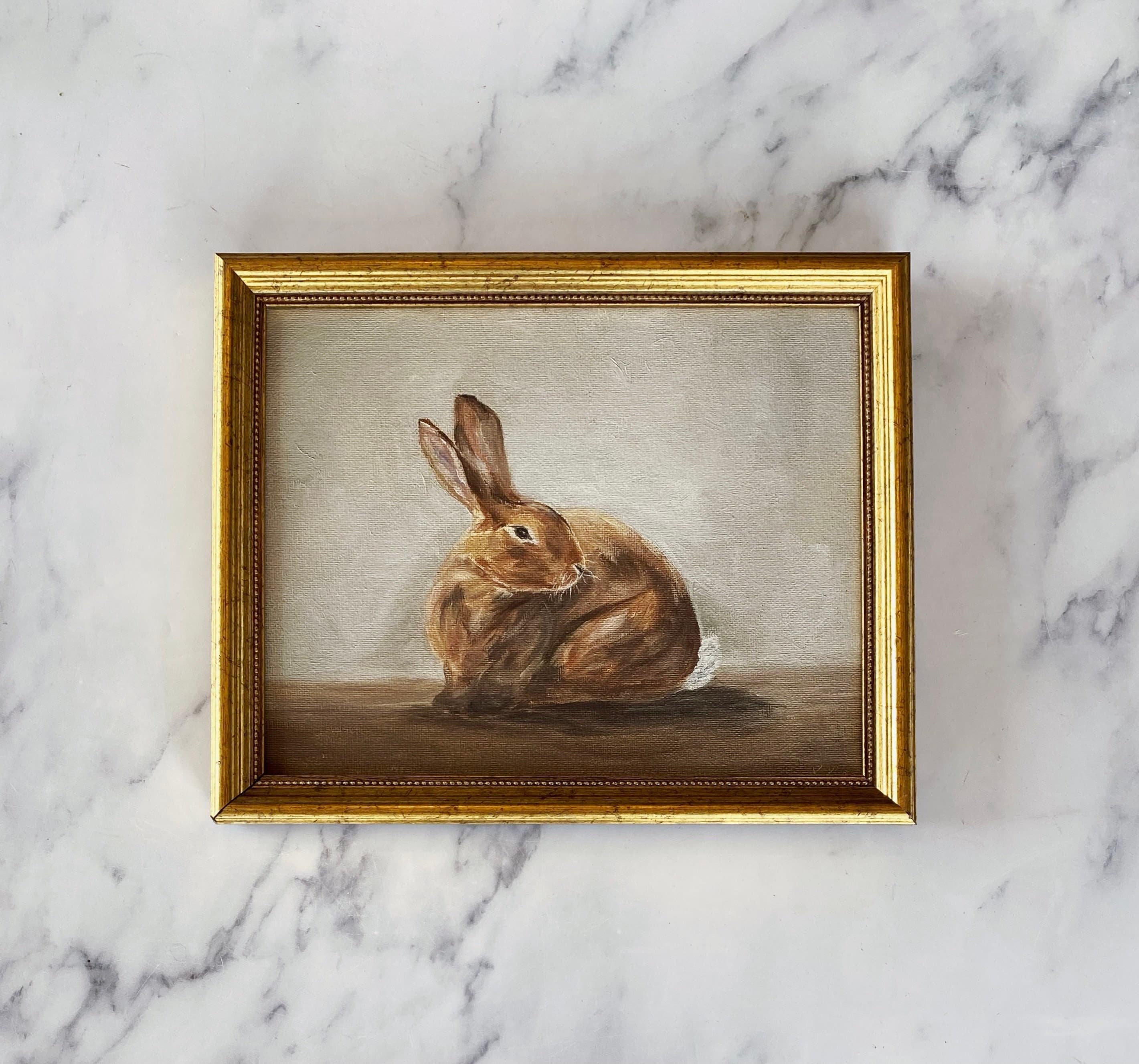Rabbit Oil Paintings