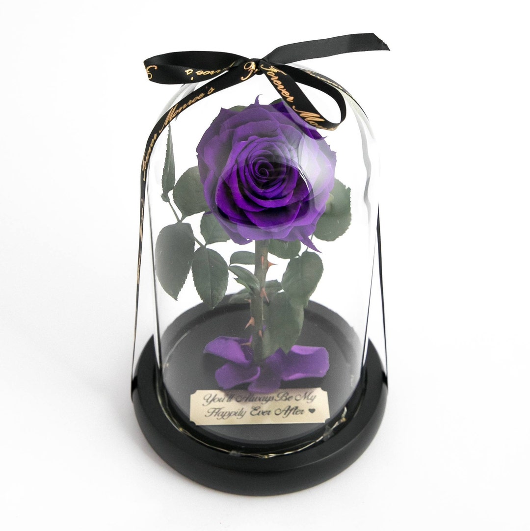 Purple Rose in Glass Dome, Forever Monroe's Purple Rose, Beauty and the ...