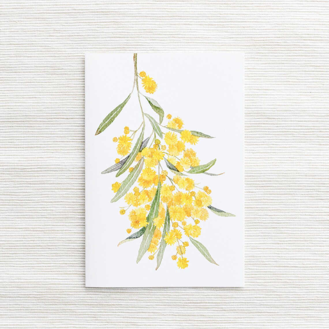 Australian Native Watercolour Greeting Cards | Wattle | A6 Card Art ...