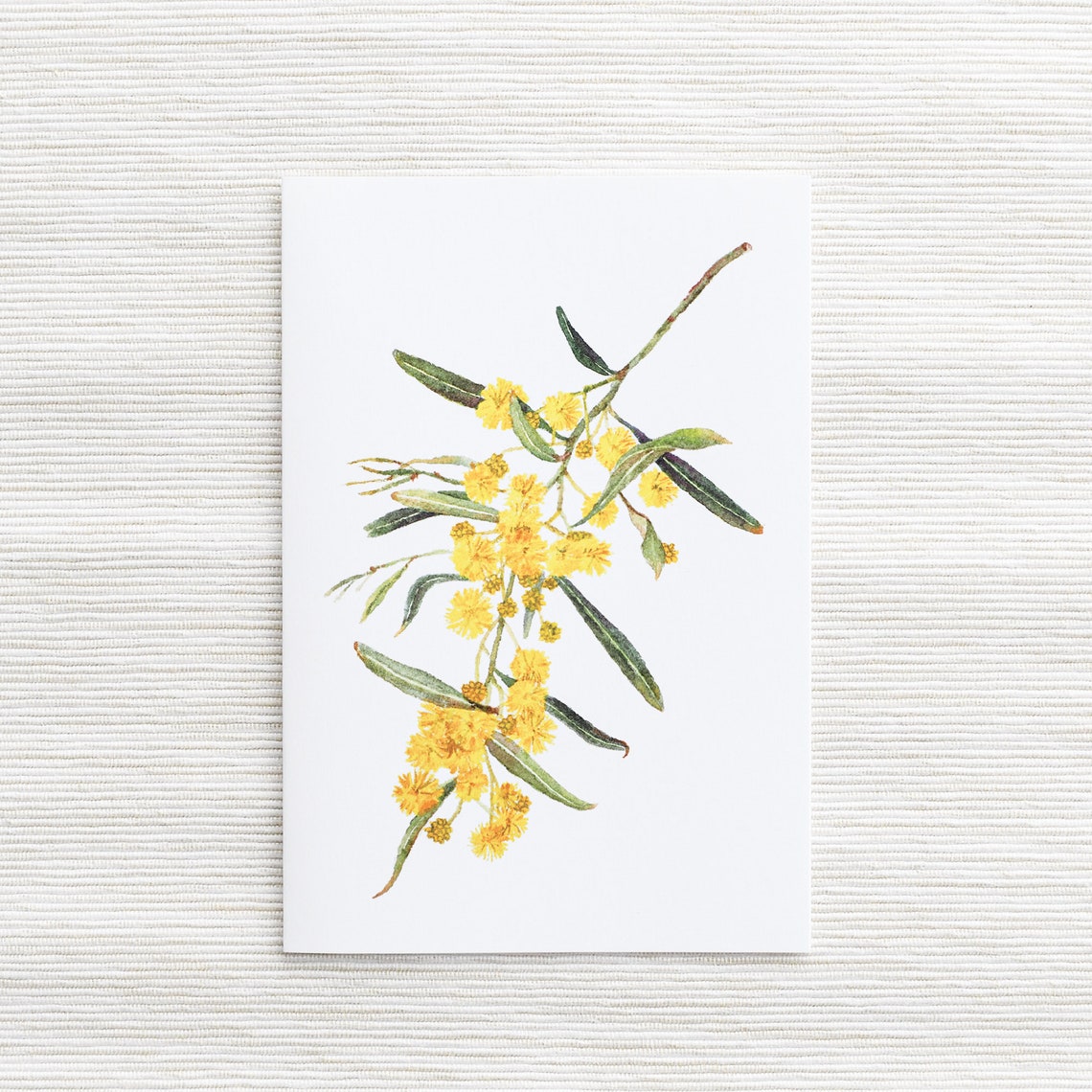 Australian Native Watercolour Greeting Cards | Wattle | A6 Card Art ...