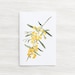 Australian Native Watercolour Greeting Cards Wattle A6 Card Art Print ...