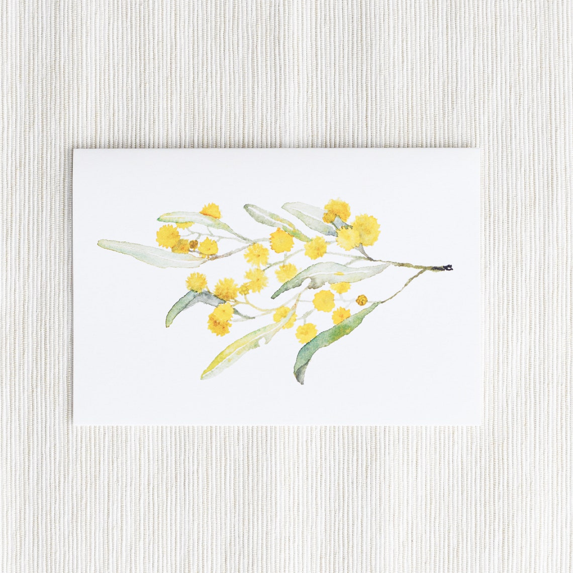 Australian Native Watercolour Greeting Cards | Wattle | A6 Card Art ...