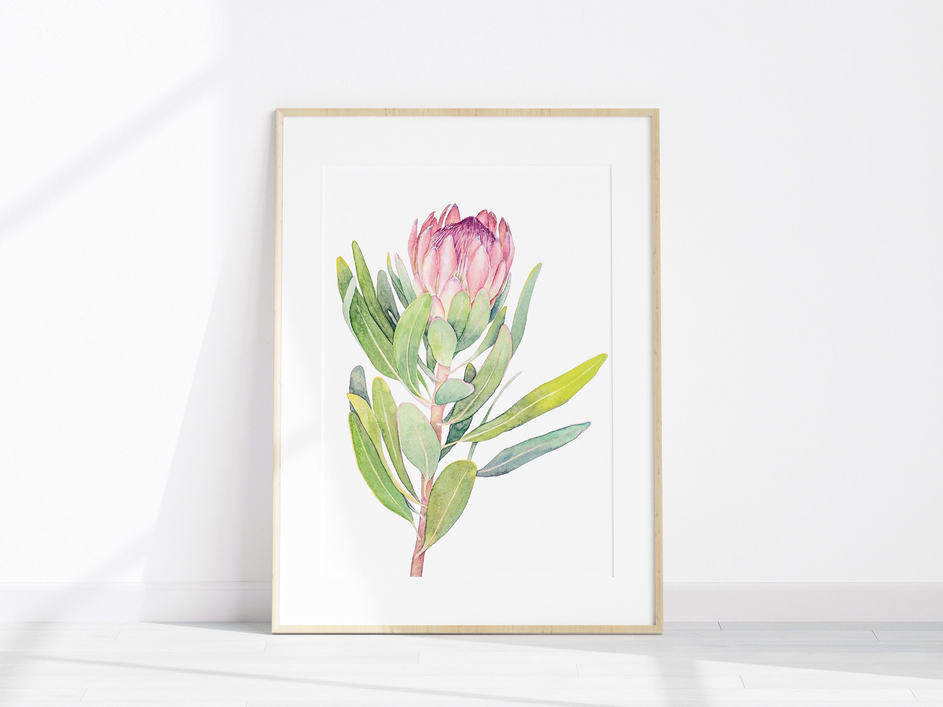 Watercolour Art Print A4 A3 Australian Native Botanical : - Etsy Australia