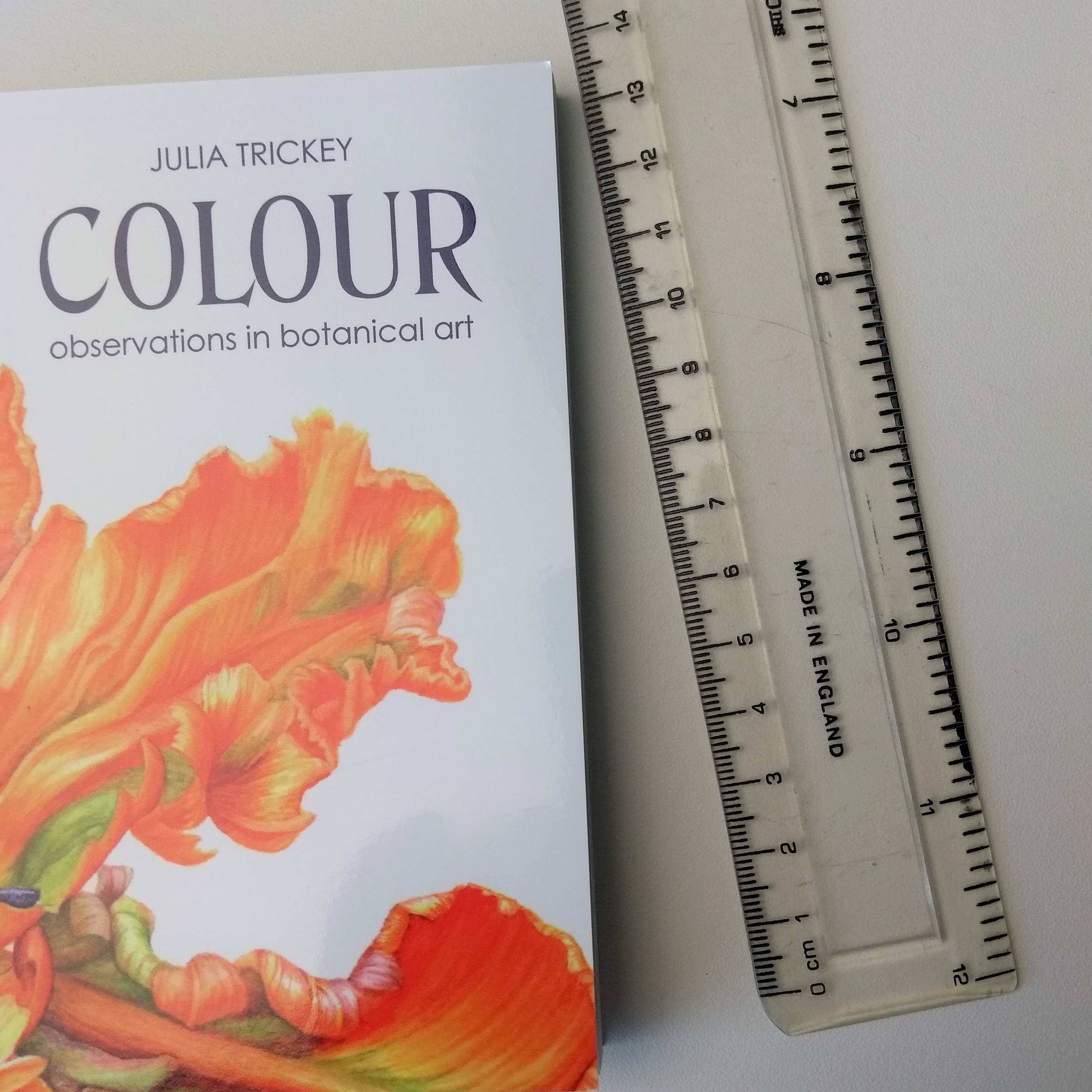 BOOK Colour Observations in Botanical Art with Colour Mixing Kit - Etsy