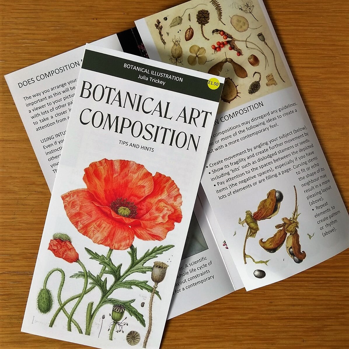 DOWNLOADS Botanical Art Leaflets - Etsy