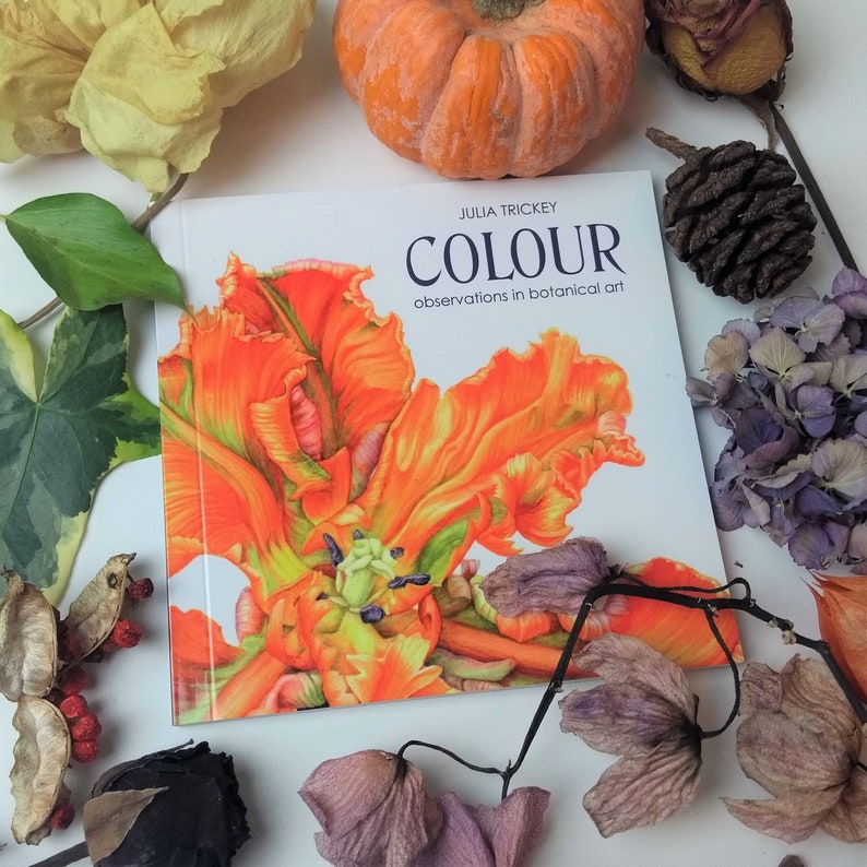 BOOK Colour Observations in Botanical Art with Colour Mixing Kit - Etsy