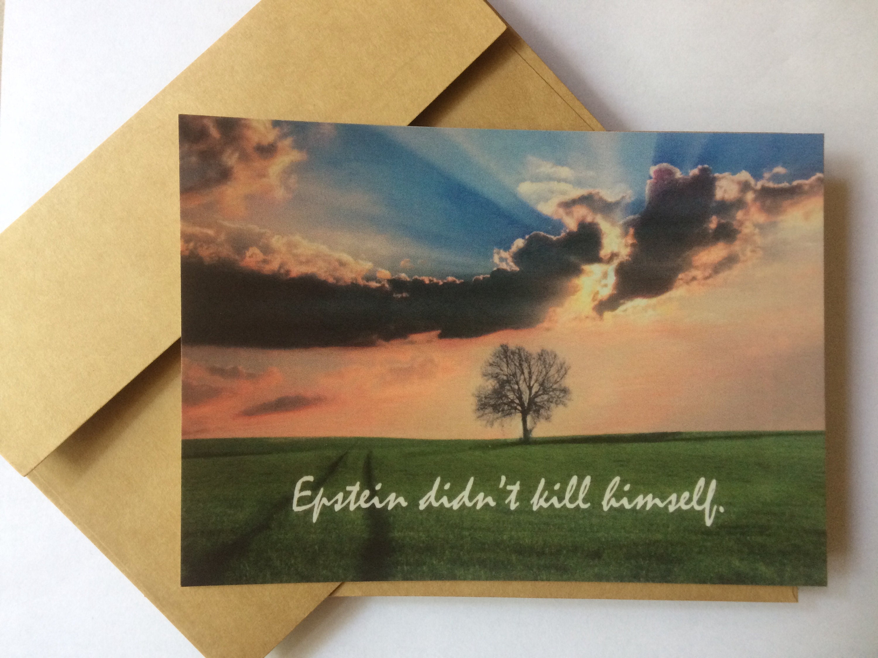 Epstein Didn't Kill Himself Inspirational Landscape 5x7 | Etsy