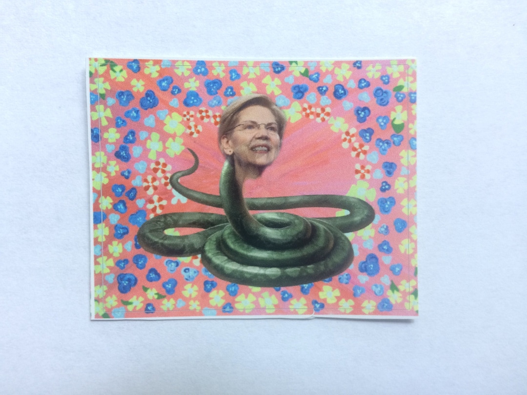 Liz the Snake Vinyl Sticker: Elizabeth Warren Funny Leftist Decal - Etsy