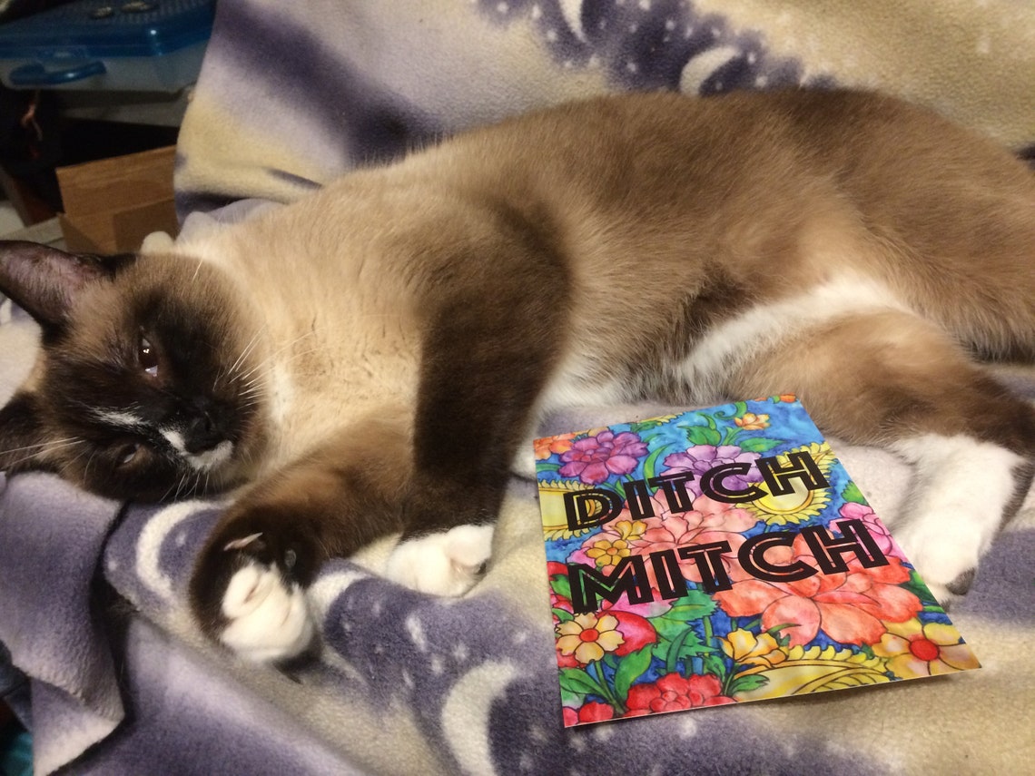 Ditch Mitch Postcard Political Postcard Get Out the Vote - Etsy