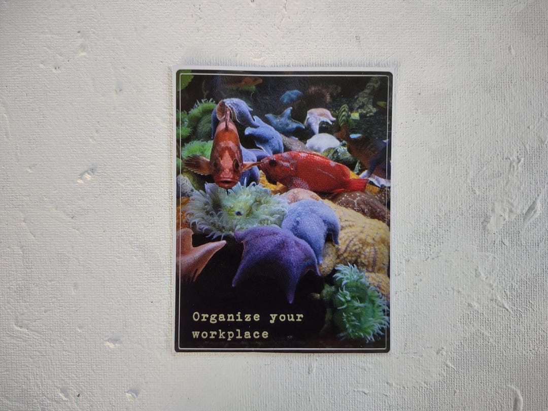 Pro-union Decal: Organize Your Workplace With Starfish - Etsy