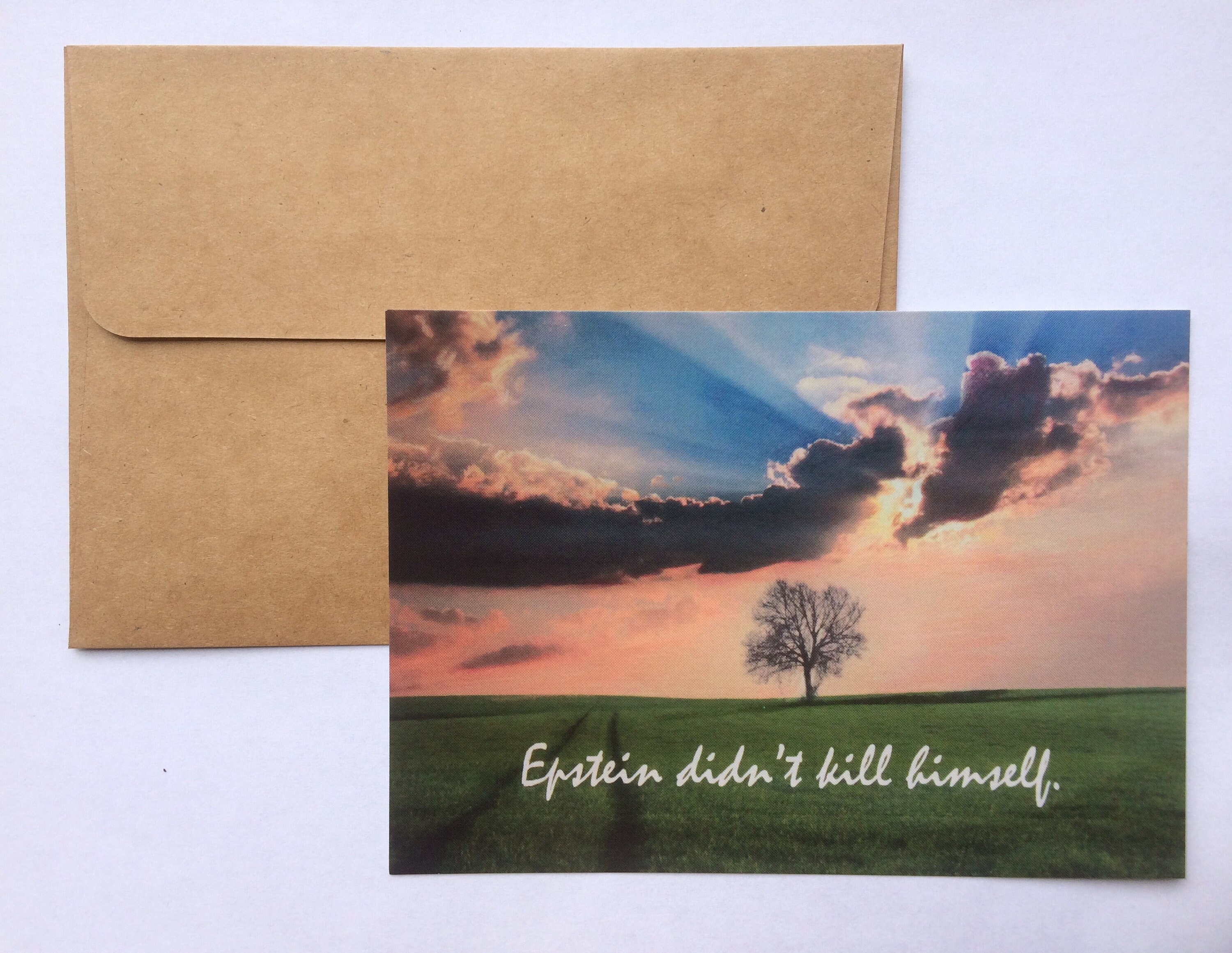 Epstein Didn't Kill Himself Inspirational Landscape 5x7 | Etsy