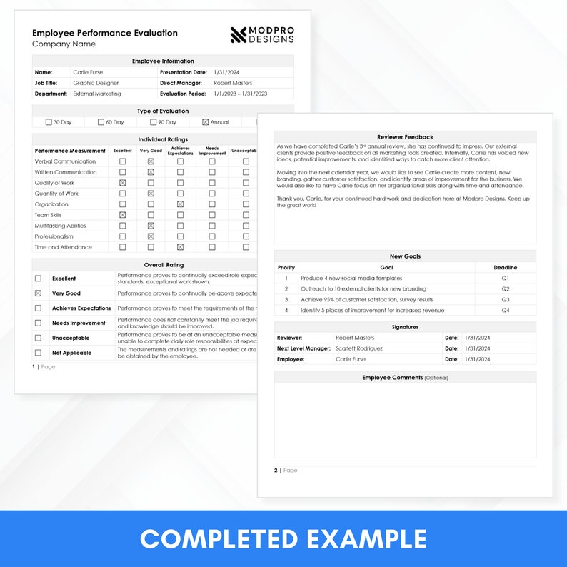 Performance & Salary Review Template (MS Word HR Form) - Etsy